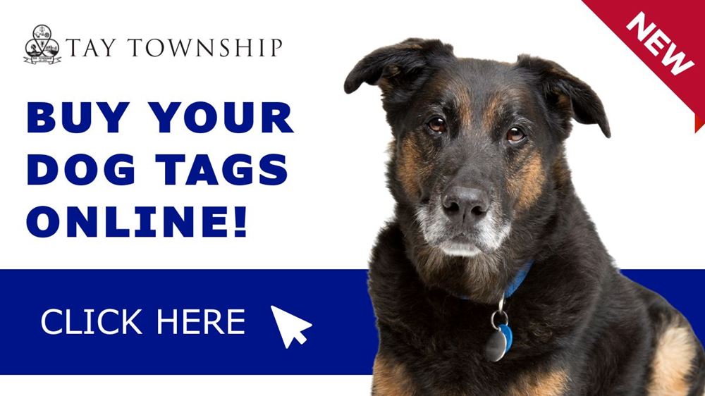 Canine Control - Tay Township